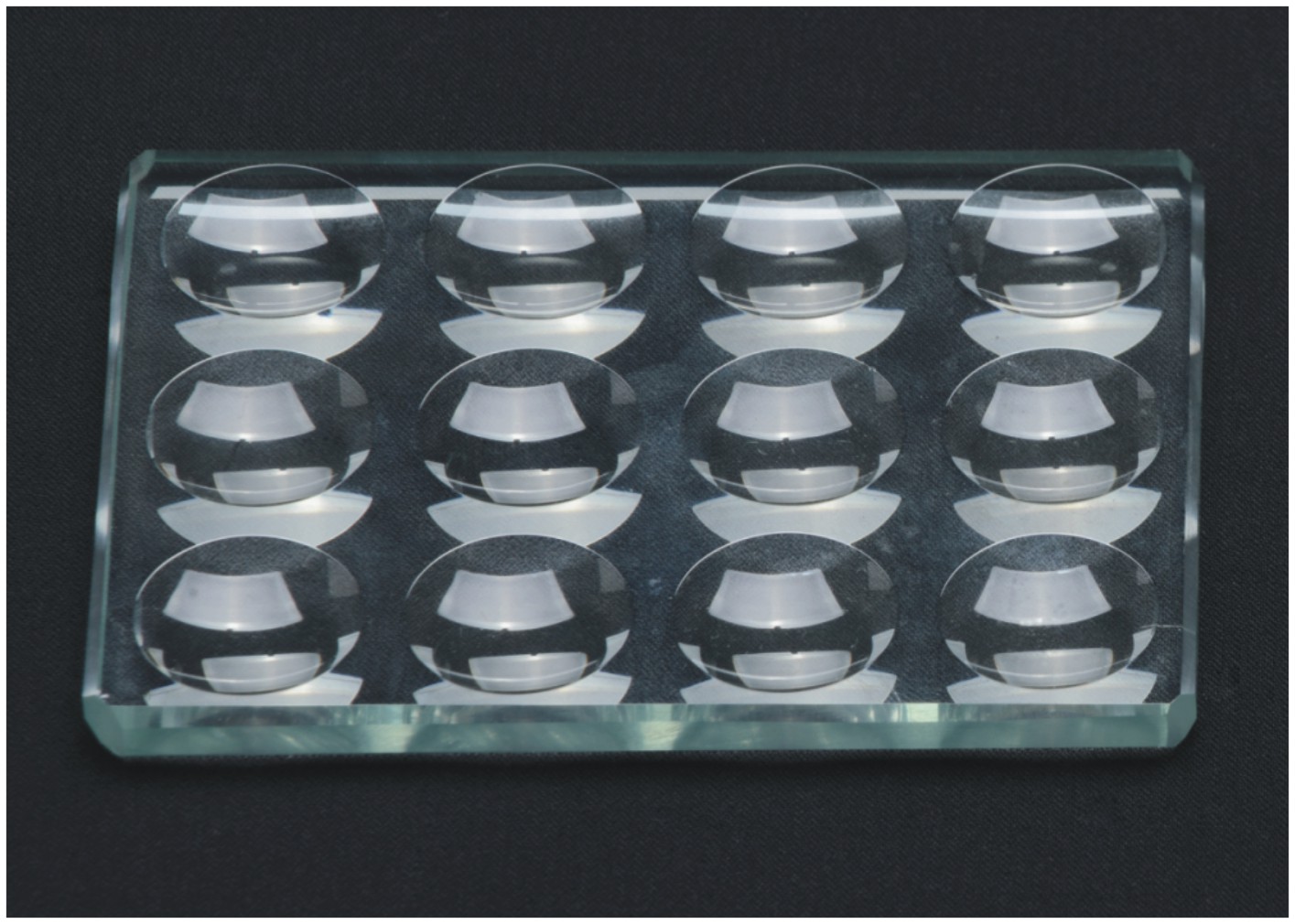 Staining Plate, Float Glass - 浙江理能医疗器械有限公司